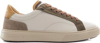 Ambitious Homme, Chaussures, Beige, Taille: 42 EU Anopolis Baskets &agrave; lacets