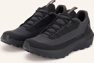 Arc'teryx Trailrunning-Schuhe Norvan Ld 4 Gtx schwarz