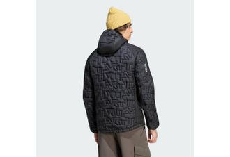 ADIDAS TERREX Outdoorjacke (1-St)