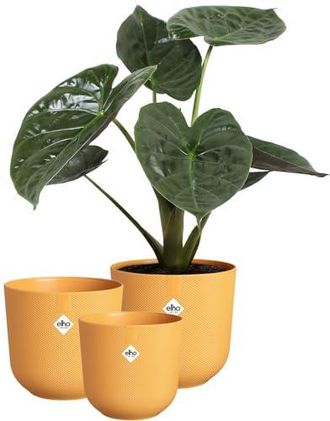 ELHO Jazz Round Pot de Fleurs - Pot de Plantes dIntérieur - Plastique 100% Recyclé - Structure Unique - Lot de 3 - Ø 14, 16, 19 cm - Jaune/Jaune Ambré