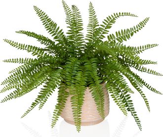 hjh OFFICE Kunstpflanze Proliferum 40 cm - Gr&uuml;n, Immergr&uuml;n, Pflegeleicht, Realistische Nachbildung aus Kunststoff und Textilien