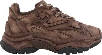 Ash Sneaker - Braun