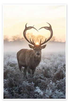 Posterlounge Herzförmiges Geweih Poster von Max Ellis 40 x 60 cm Wandbilder Wanddeko