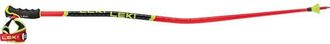 Leki Herren Alpin-Skistock WCR GS 3D