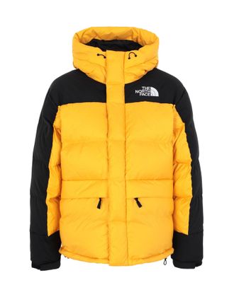 The North Face M HMLYN DOWN PARKA