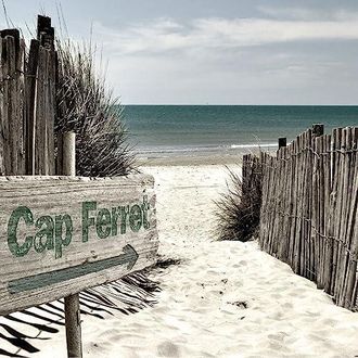 Ceanothe Tableau sur toile panneau Cap Ferret 30x30 cm D&eacute;coration Murale Art D&eacute;coratif Muraux Peinture Imprim&eacute;e en HD Salon Chambre Bureau Bois de For&ecirc;t FSC Fa