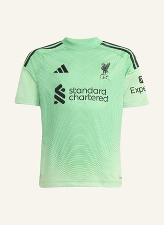 adidas Liverpool Fc 25/26 Kids Torwarttrikot gruen