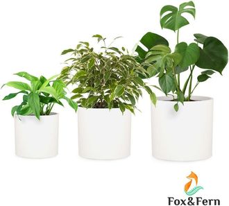 Blumfeldt Blumfeldt - Pot de fleurs Gendt cache-pot lot de 3 tailles s/m/l ciment fibre de verre intérieur / extérieur