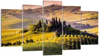 Arttor Wandbilder Dekoration Wohnzimmer Landwirtschaft Bauernhof Toskana Weinberg Bilder auf Leinwand 160x85cm Leinwandbild Schlafzimmer Set 5 teilige Art Gr