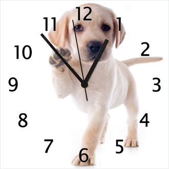 Wallario Design-Wanduhr Süßer Labrador-Welpe SAGT Hallo aus Glas, Motiv-Uhr Größe 30 x 30 cm, Schwarze Zeiger