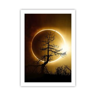 Arttor Wandposter Art Prints 50x70cm Poster ohne Rahmen Sonnenfinsternis die Sonne Baum Küche Wanddeko Bild Wand Kunstdruck Deko Wandbilder Dekoration Wohnzi