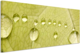 Paul Sinus Art Panoramabild 150x50cm Naturfotografie - Grünes Blatt mit Makro Wassertropfen auf Leinwand exklusives Wandbild moderne Fotografie für ihre Wand in viel