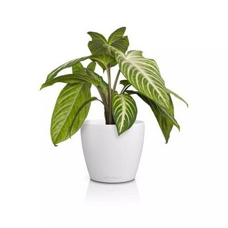 Lechuza Tischgef&auml;&szlig; Classico Color 14 Deco Wei&szlig;, Matte Oberfl&auml;che, &Oslash; 15 x 13,5 cm, 16681