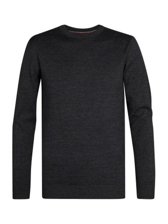 Petrol Industries Pullover