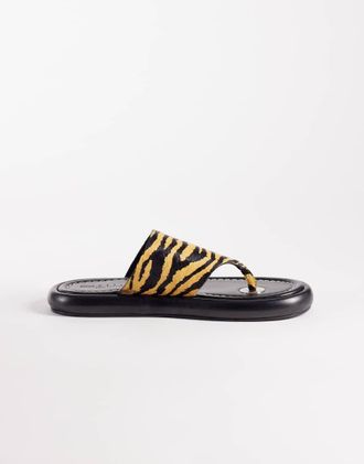 Asos Fate - Hochwertige, flache Sandalen aus echtem Leder mit Zehensteg und Leopardenmuster-Bunt
