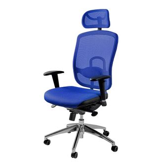 Selsey Berg - Schreibtischstuhl mit vielen Einstellm&ouml;glichkeiten (Blau)