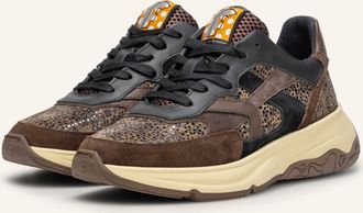 Floris Van Bommel Floris Van Bommel Sneaker Holli 01 braun