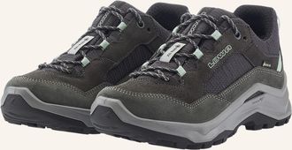 Lowa Outdoor-Schuhe Ventierra Gtx Lo Ws grau