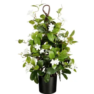 MiCa Decorations Mica Decorations - Stephanotis im Topf &oslash; 30 x 60 cm gr&uuml;n Zimmerpflanzen