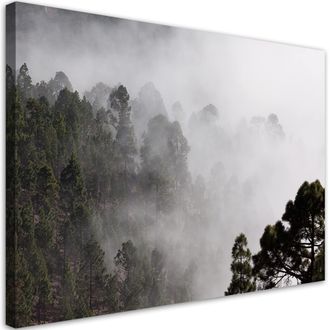 Feeby Vlies Leinwandbild - Wohnzimmer Vlies Bilder - Wald im Nebel - 90x60 1tlg - Deko Schlafzimmer - Dekoration - Aesthetic Leinwanddruck - Moderne Bild - 