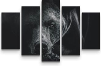 Paul Sinus Art Leinwandbilder | Bilder Leinwand 160x100cm Braunbär - Portrait