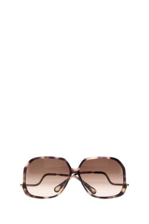Chlo&eacute; Womens Printed Acetate Sunglasses 60 Exterior: Occhiali Da Sole