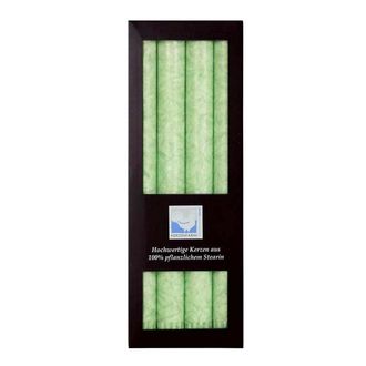 Kerzenfarm Hahn Stearin Stabkerze Set, mint