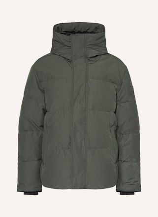 Canada Goose Daunenjacke Seymour gruen
