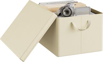 Woltu Aufbewahrungsbox mit Deckel 1 Stück, aus Polyesterstoff, für Schlafzimmer, Arbeitszimmer, Wohnzimmer, Organizer Box mit Griffen, für Kleidung Spielzeu