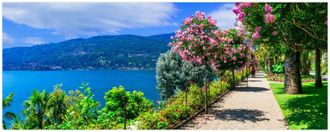 Wallario Glasbild Bl&uuml;tenpromenade am Seeufer - 50 x 125 cm Wandbilder Glas in Premium-Qualit&auml;t: Brillante Farben, freischwebende Optik