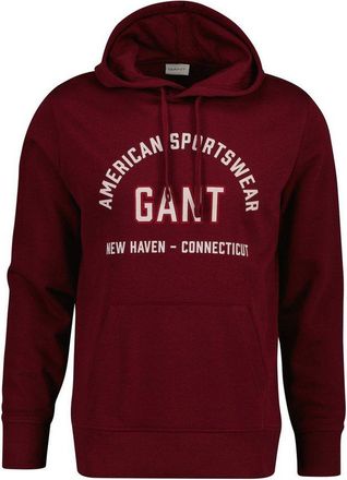 GANT Sweatshirt PRINTED GRAPHIC mit Kapuze, regular fit, Kängurutasche