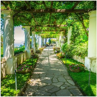 Wallario Sticker/Aufkleber f&uuml;r K&uuml;hlschrank/Geschirrsp&uuml;ler/K&uuml;chenschr&auml;nke, Selbstklebende Folie - 60 x 60 cm, Motiv: Bl&uuml;hende Pergola