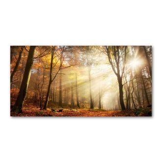 Tulup Leinwandbild - Wandkunst - Drucke auf Leinwand - Leinwanddruck -100x50 cm - Landschaften - Orange - Nebel im Wald