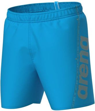 Arena Herren Fundamentals Logo R Boxer Beach Shorts