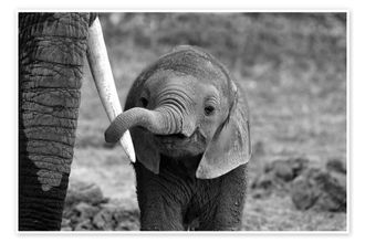 Posterlounge N&auml;he Poster von Bjoern Alicke 60 x 40 cm Schwarz-Wei&szlig; Wandbilder Wanddeko