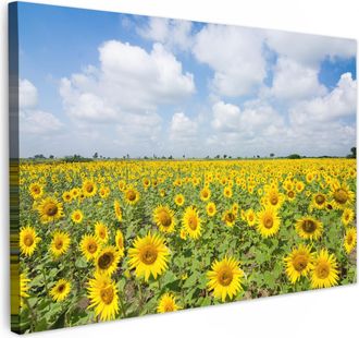 MuchoWow © Wandbilder Groß 120x80 cm XXL Wohnzimmer Wanddeko Schlafzimmer Zimmerdeko Fotowand Zimmer Deko Wand Dekoration Wall Art Sonnenblumen - Blumen - Wolk