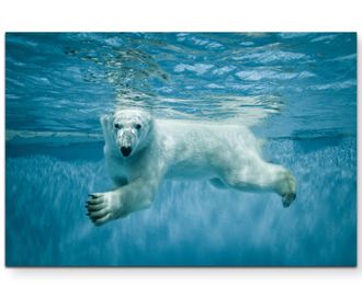Paul Sinus Art Leinwandbilder | Bilder Leinwand 120x80cm schwimmender Eisb&auml;r unter Wasser