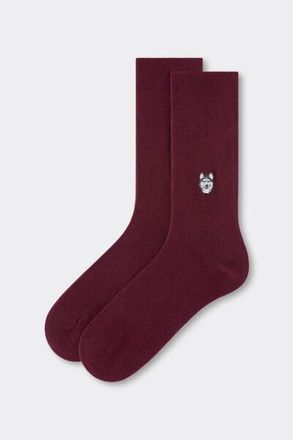 Calzedonia Herrensocken Mit Dog-stickerei Bordeaux