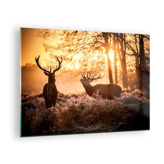 Arttor Bilder auf Glas Deer Heidekraut Tier Glasbild 70x50cm Wandbilder Dekoration Wohnzimmer Schlafzimmer K&uuml;che Deko Klein Wanddeko Bild im Glas Wand Kunstd