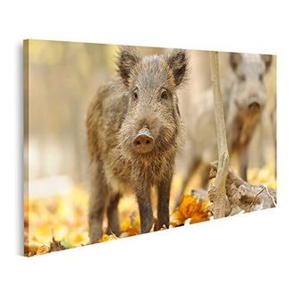 Islandburner Tableau sur toile Sanglier Automne For&ecirc;t Peintures Impressions pour salon bureau