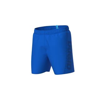 Arena Herren Fundamentals Logo R Boxer Beach Shorts