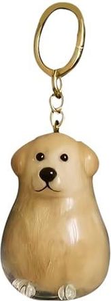 Generico Bo&icirc;te &agrave; souvenirs pour porte-cl&eacute;s comm&eacute;moratif pour animaux domestiques : pendentif pour sac de stockage, pendentif pour conteneur, accessoire pour sa