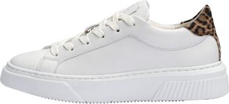 Lloyd Sneaker MODO