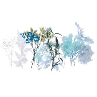 Valiclud Echte Getrocknete Blumen Satz Gepresste Trockenblumen f&uuml;r Selbstgemacht Bastelmaterial Nat&uuml;rliche Langlebige Blumen f&uuml;r Kunsthandwerk und Foto Requisi