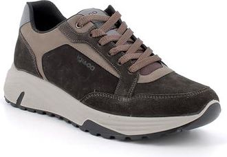 Igi & Co Homme U.Seth Plat Oxford, Caffe, 42 EU