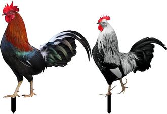 Yardwe Hahn Deko Garten, Doppelseitig Bedruckte Gartenfiguren, 2 StüCk, Ideal FüR Garten- Und Raumdekoration