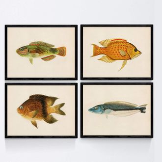 Nacnic Bunte Fische Plakate 4-er Set. Vintage Stil Blau, Orange und Grün Fische Posters mit Altpapier Hintergrund. Größe A4, ohne Rahmen