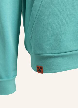 ADIDAS TERREX Adidas Terrex Adidas Minecraft Terrex Hoodie blau