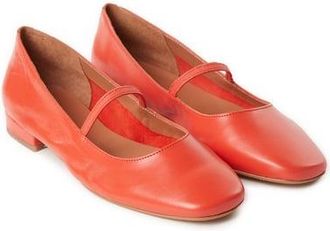 Saison 1865 Ballerines en cuir CHLOE