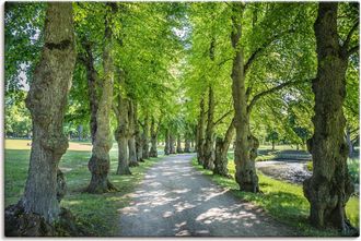 Artland Wanddeko Leinwand Bilder Wandbild 60x40 cm Landschaften Pflanzen Park Allee Bäume Linden Sommer Stockholm Schweden U4RI